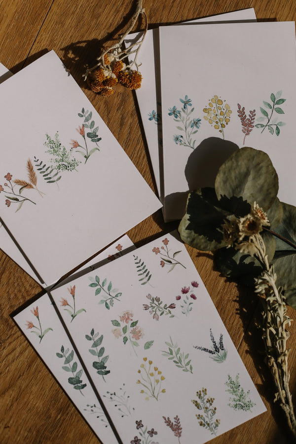 Botanical Greeting Cards – Moon and Brush